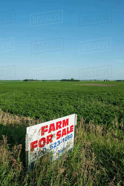 Sign Saying Farm For Sale Posted On Farmland; United States Of America ...