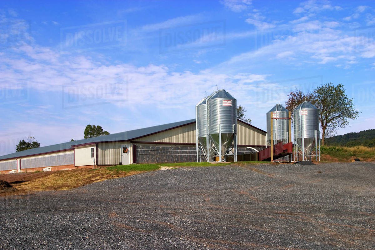 Livestock - Newly constructed hog confinement facilities with feed ...