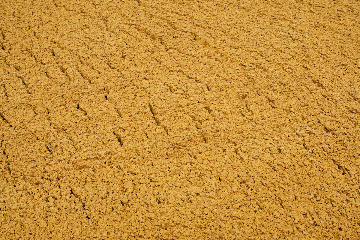 Agriculture - Distiller grain with solubles at an ethanol production ...