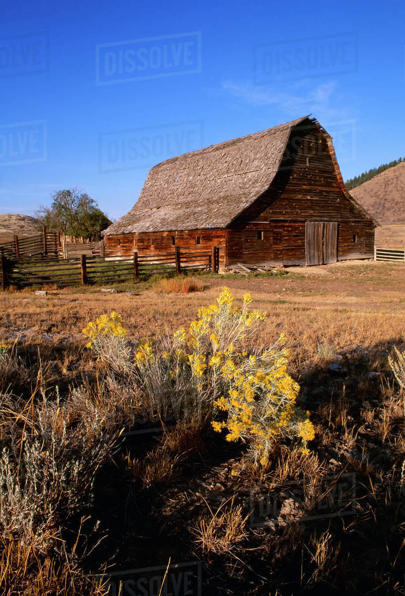 Agriculture - An old rustic wooden barn and corrals in Sagebrush ...