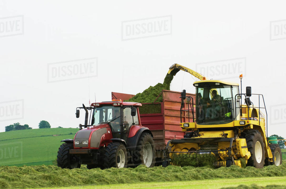 Agriculture - A self propelled forager and tractor with silage wagon in ...