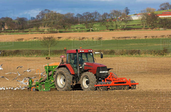 Agriculture - Planting dry beans with a pneumatic seed drill mounted on ...