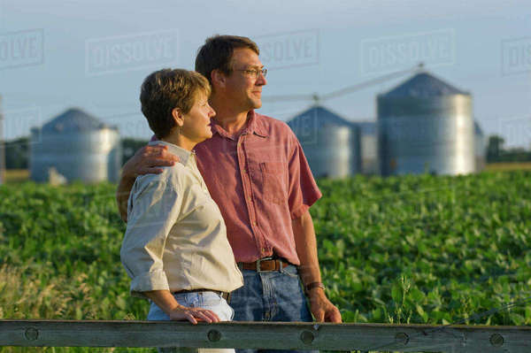 Agriculture - Husband and wife farmers in their mid growth soybean ...