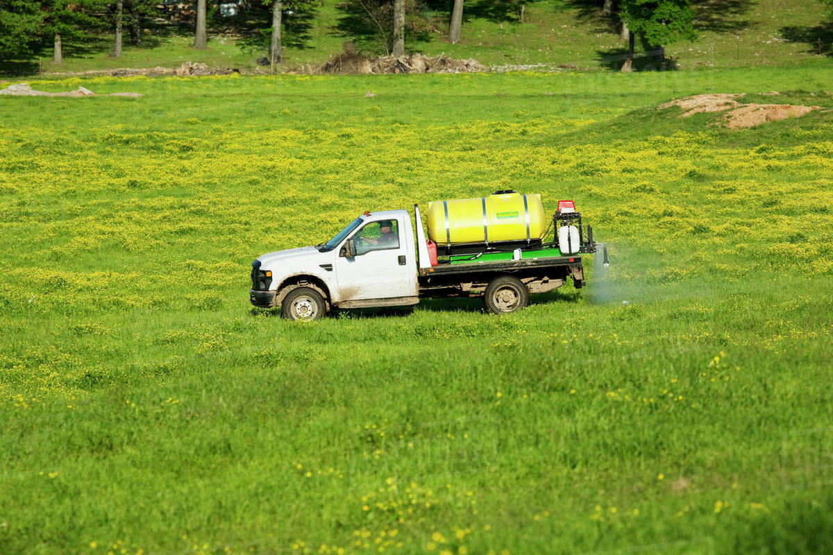 Agriculture - Spraying herbicide on a pasture used for grazing beef ...