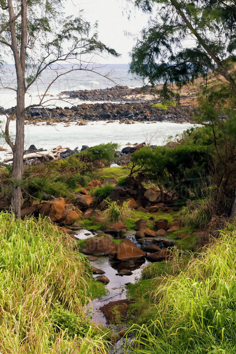 Views from walking along the Kealia walk path; Kapaa, Kauai, Hawaii ...