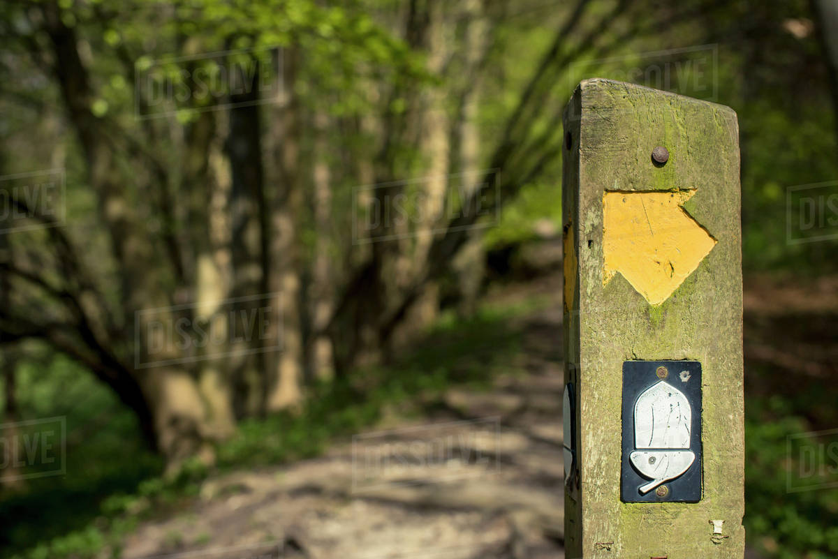 Walking in the English Countryside; Tring, Borough of Dacorum ...