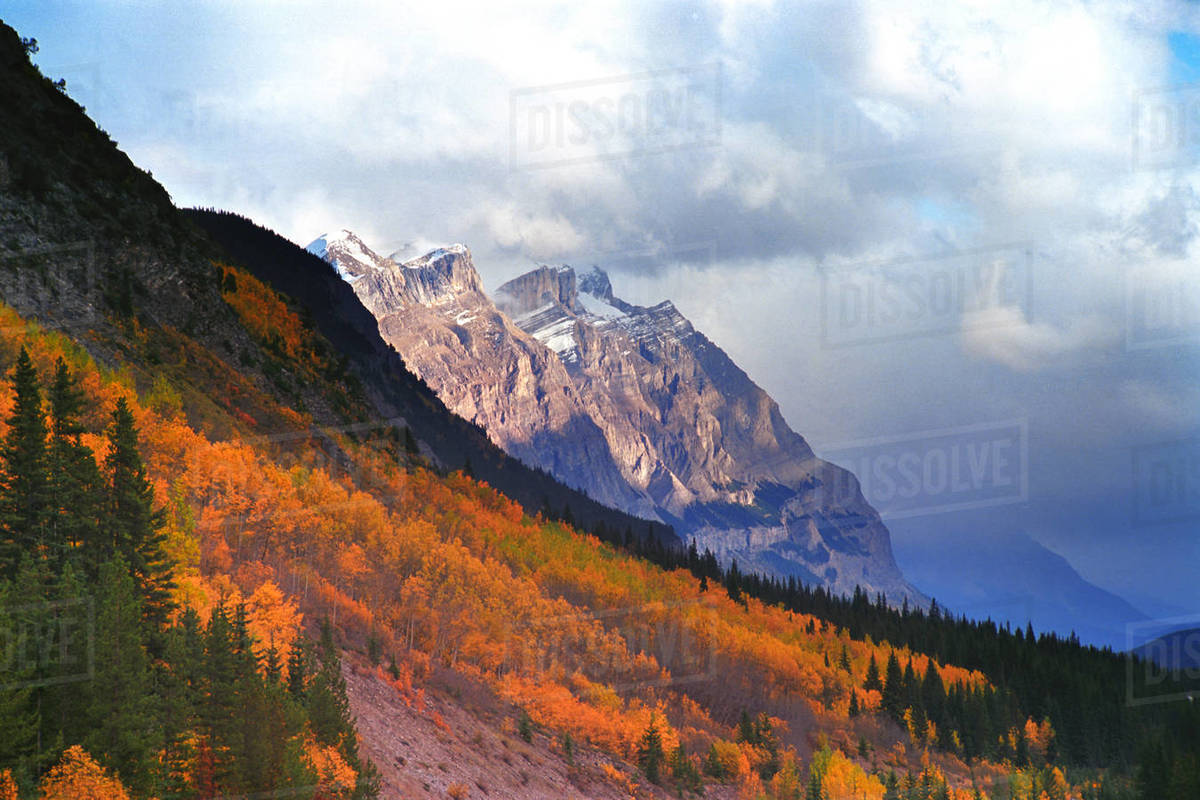 Mountain Slope In Fall - Stock Photo - Dissolve