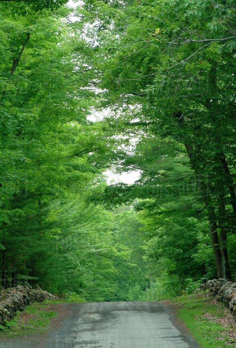 A Beautiful Pathway - Royalty-free Stock Photo | Dissolve