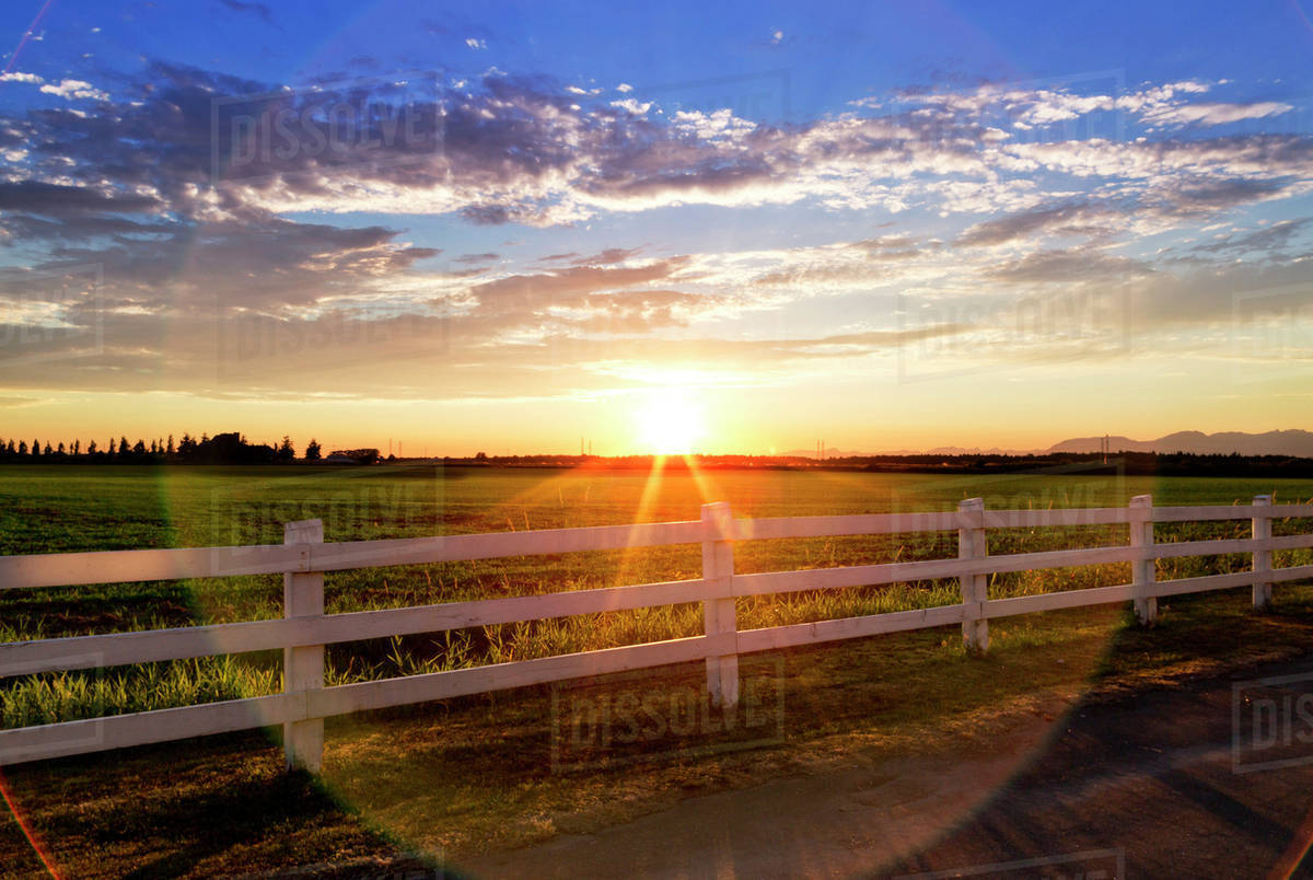 Sunlight shining across a grass field and white rail fence at sunset ...