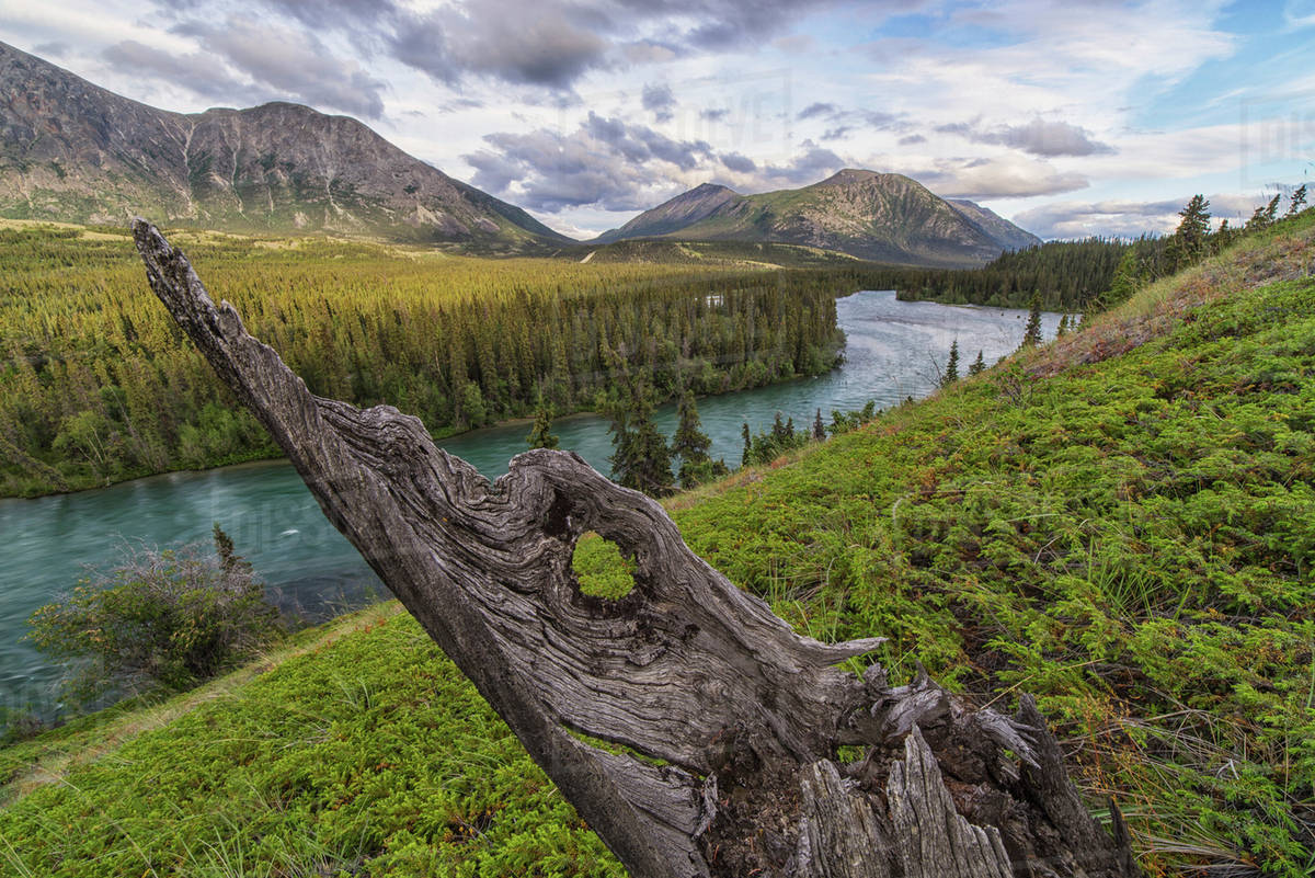 The Takhini River flows through a valley near Kusawa Lake, with an old ...