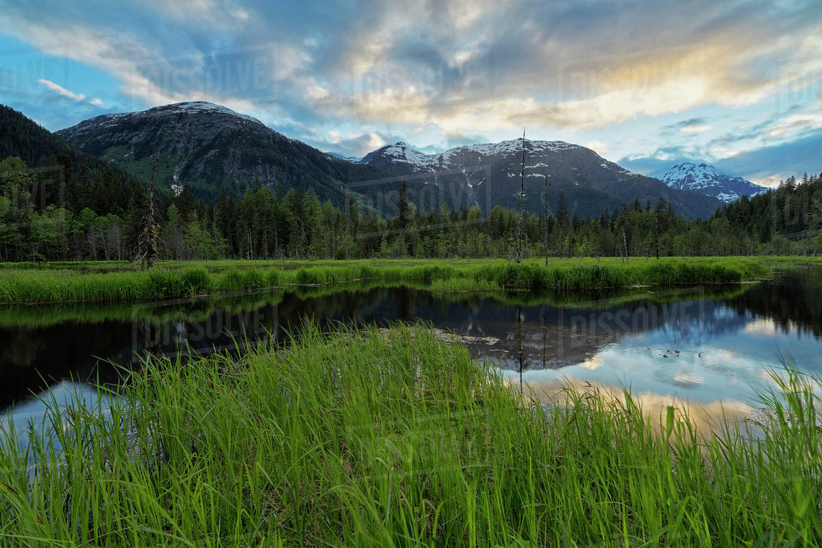 Sunset over the Tongass National Forest, near Hyder; Alaska, United ...