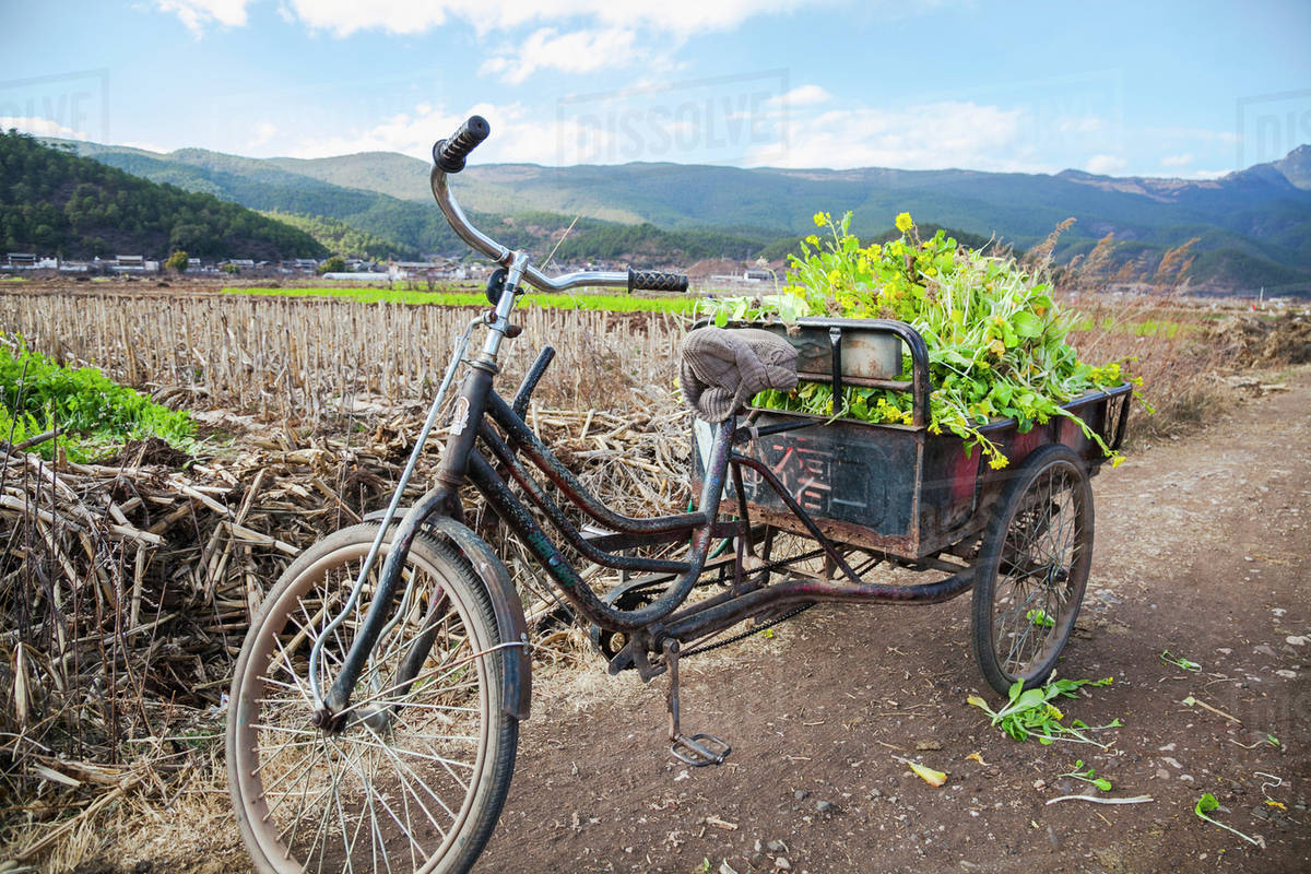 Three wheeled bicycle with vegetables; Lijiang, Yunnan Province, China ...