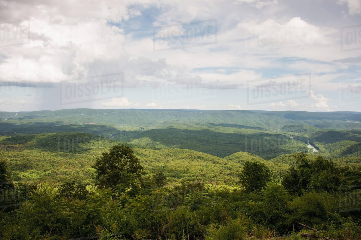 Green Ridge State Forest and the Potomac River; Flintstone, Maryland ...
