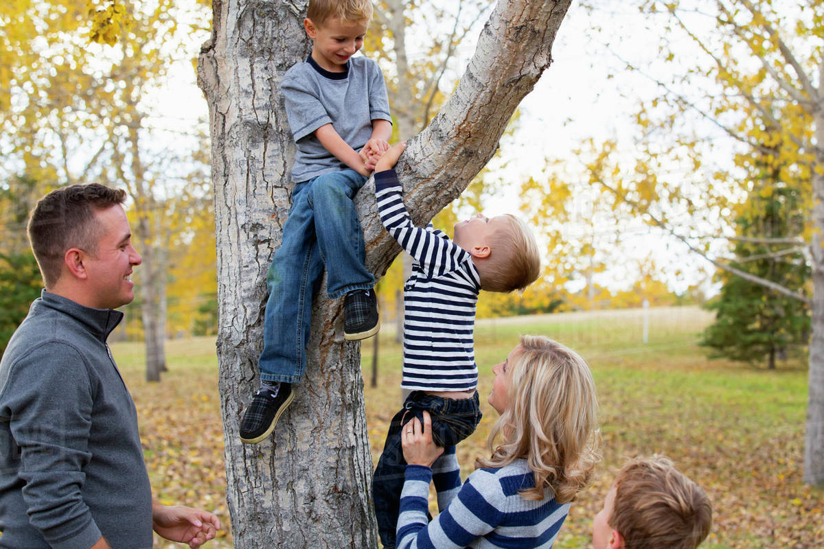 Family of young boys climbing tree under parent's supervision; Edmonton ...