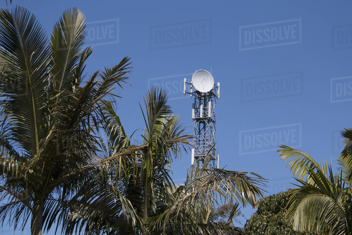 Transmission tower with satellite dish in a blue sky with palm trees ...