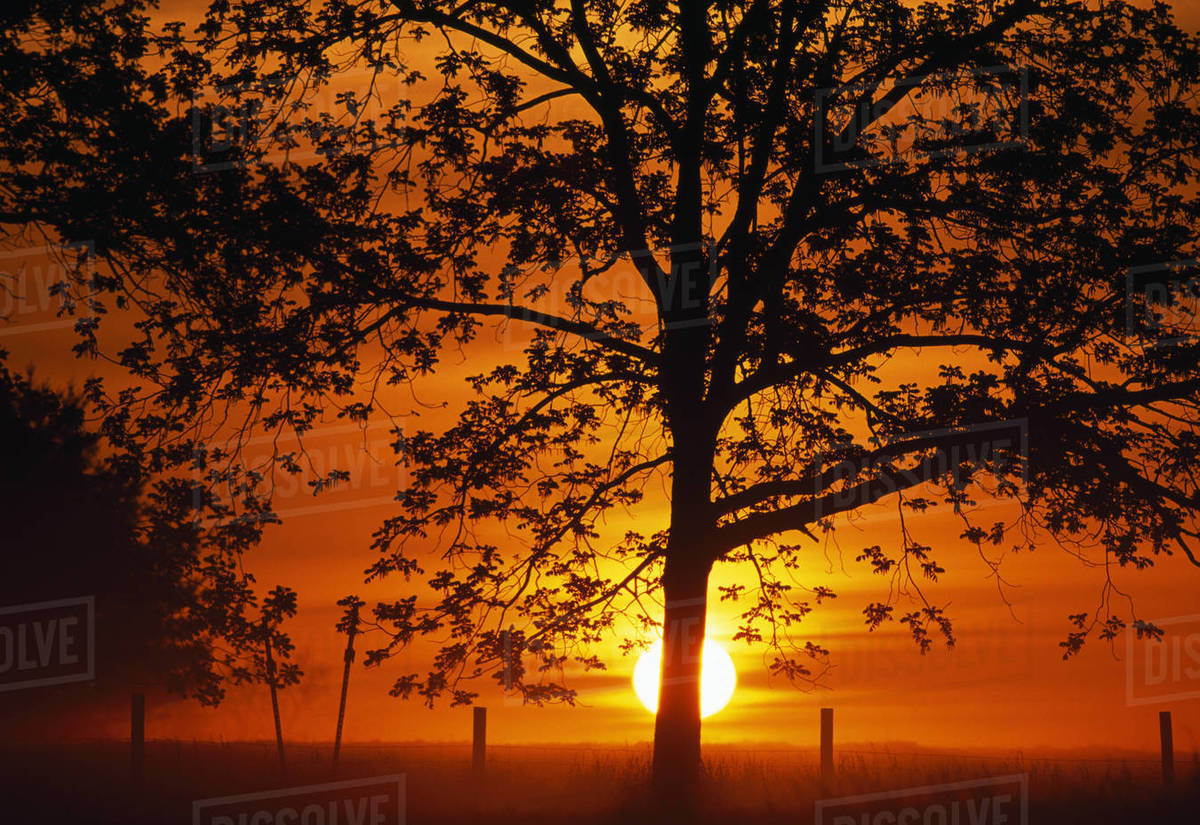Rural Sunset - Stock Photo - Dissolve
