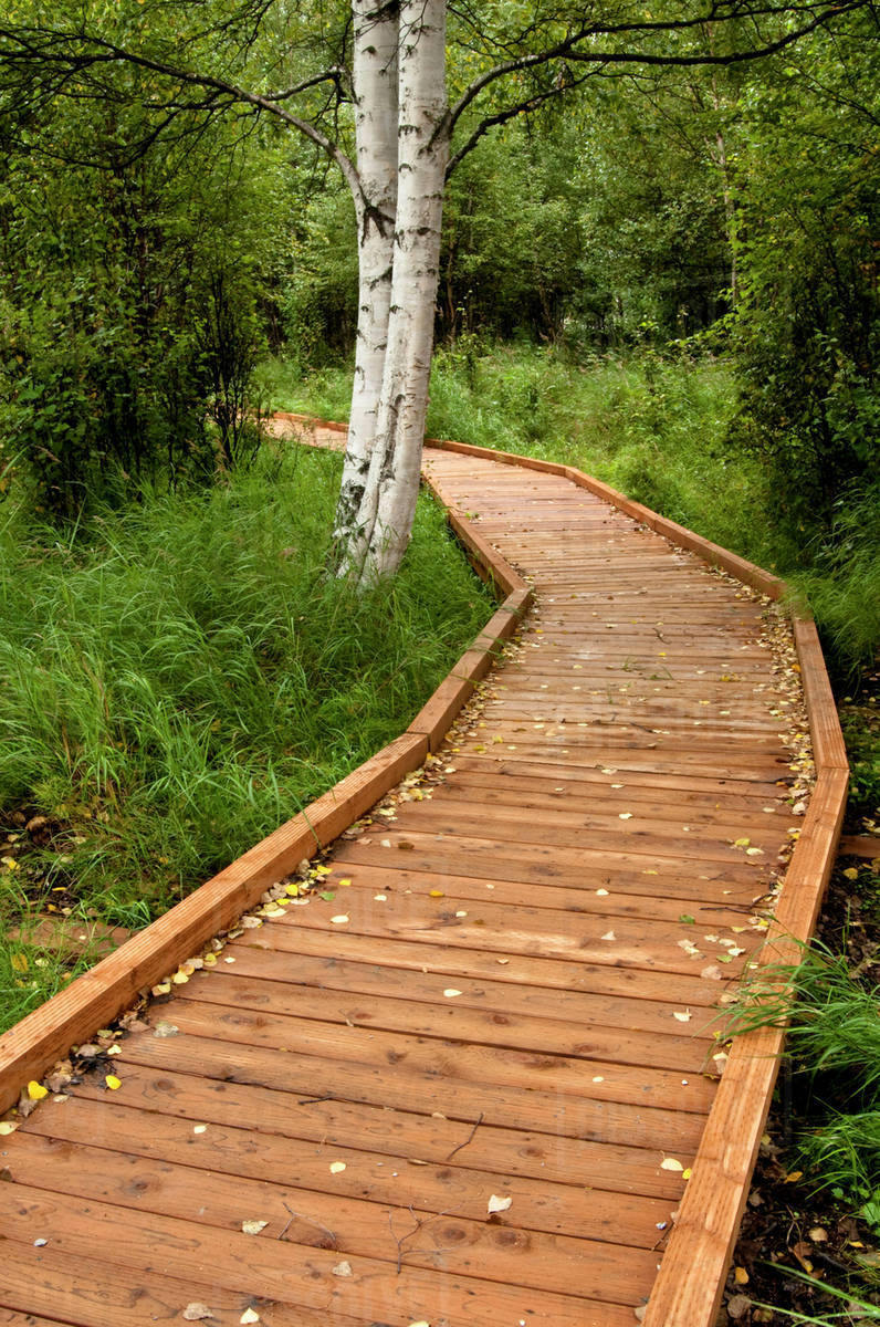 Boardwalk Trail Winds Through The Helen Louise Mcdowell Sanctuary In ...