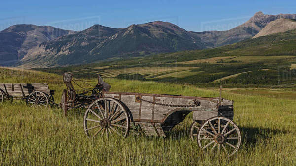 Old Wagons In Fields In The Foothills; Alberta, Canada - Stock Photo ...