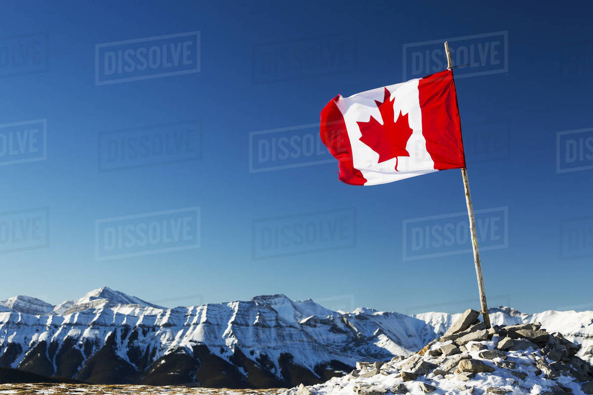 A Canadian Flag Blowing In The Wind Attached To A Wooden Branch Mounted ...