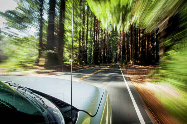 A car traveling down a tree lined road with motion blur - Stock Photo ...
