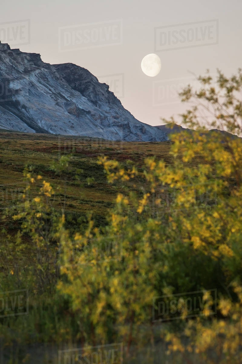 A moon in the sky and brooks range gates of the arctic national park ...