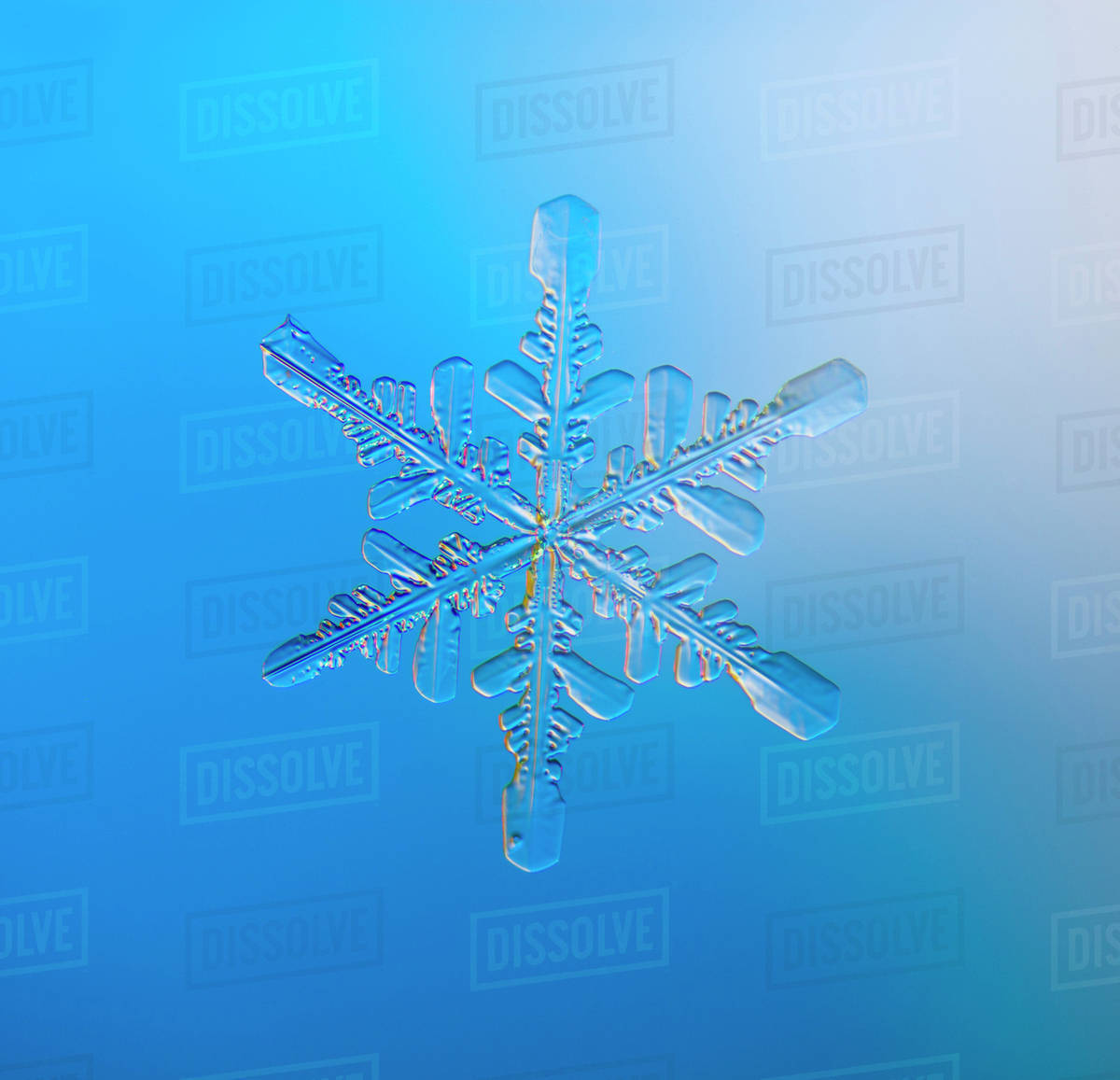Real snowflake showing the classic 6-sided star shape on a blue ...