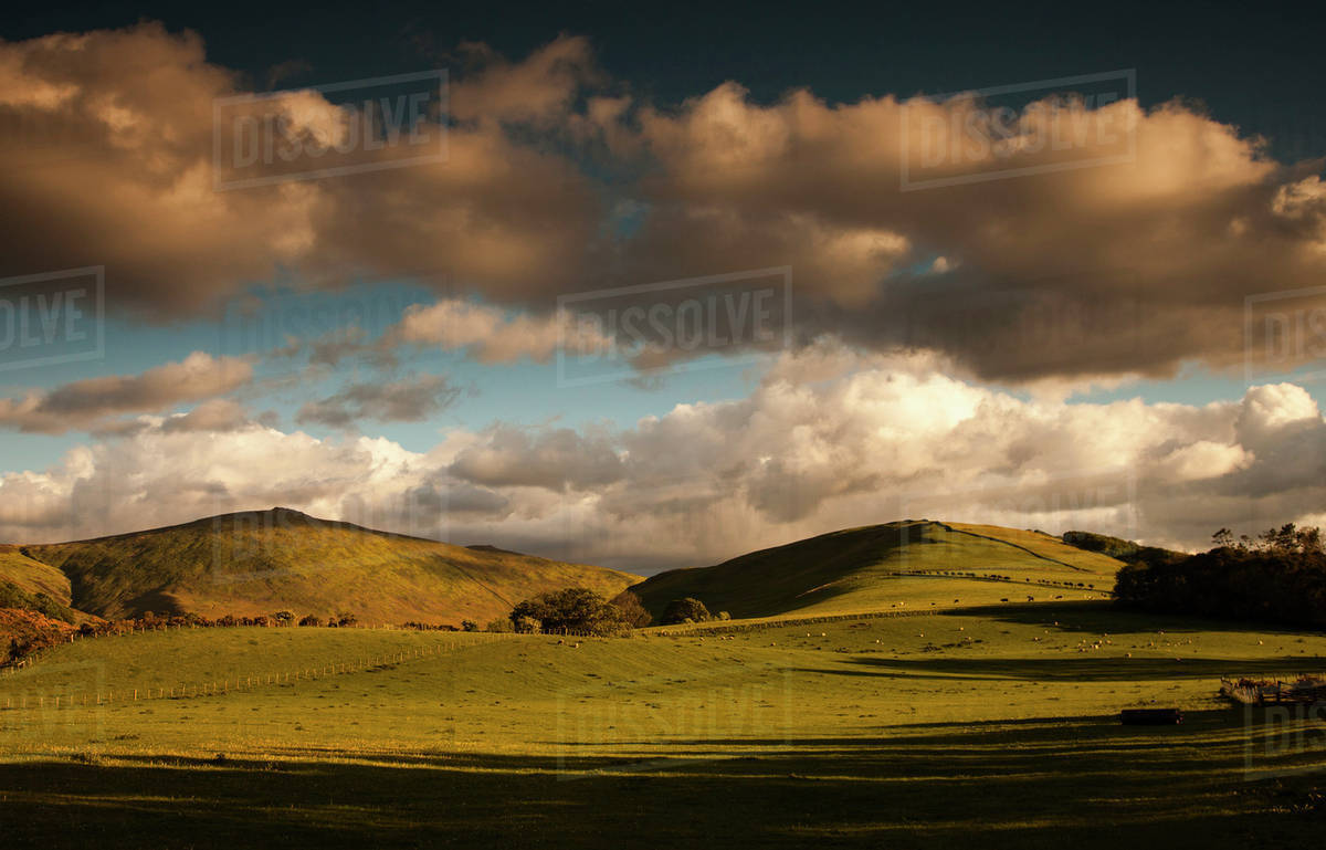 Clouds casting shadows on a hilly landscape with sheep grazing on the ...