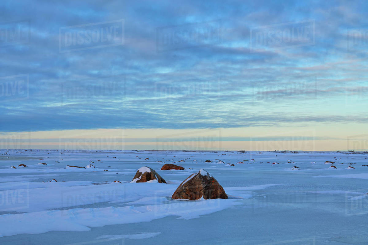 Glacial erratics frozen in the ice on the tidal flats of Hudson Bay ...