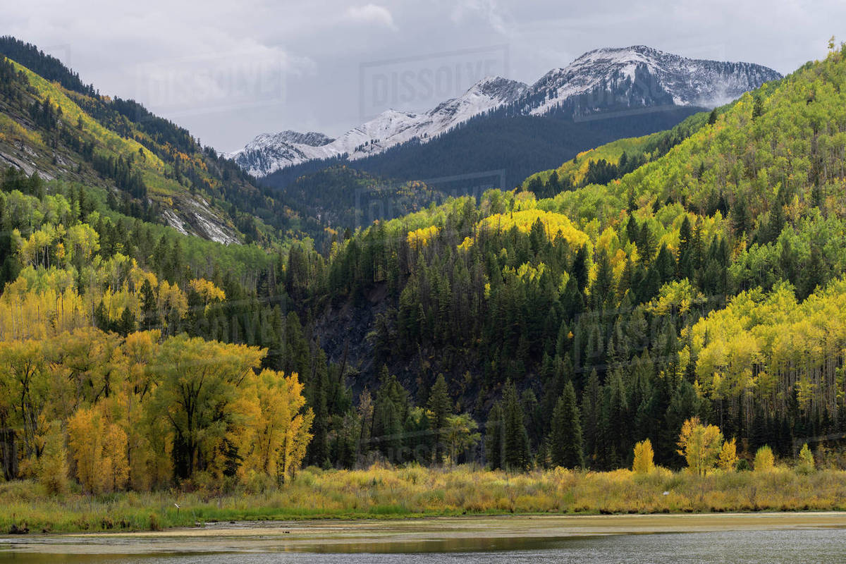 Nature Wallpaper Colorado