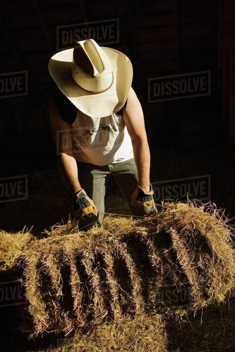 Man Moving A Bale Of Hay - Royalty-free Stock Photo | Dissolve