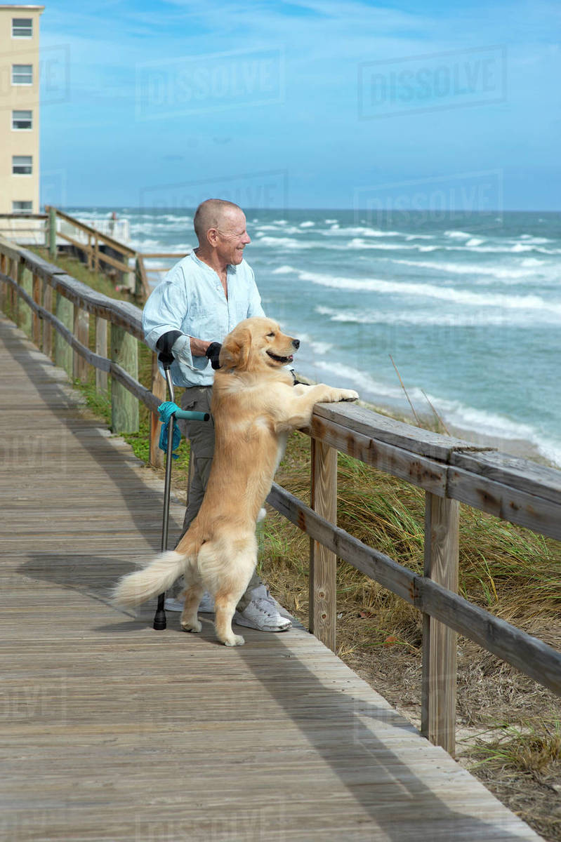 Paraplegic man with forearm crutches and service dog enjoys the ocean ...