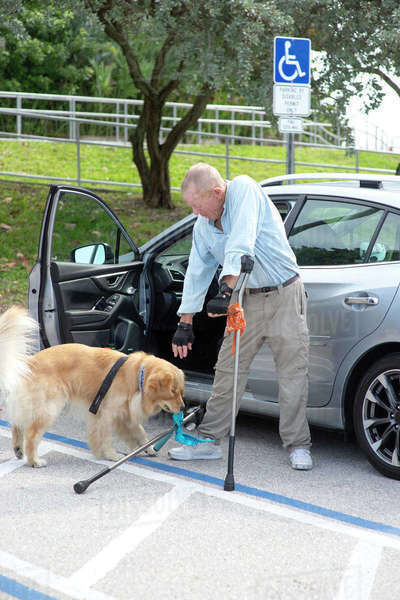 Paraplegic man with forearm crutches gets his service dog to retrieve ...
