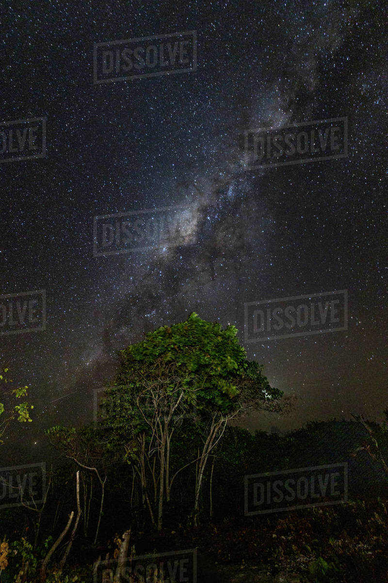 Milky Way galaxy in the night sky over Mbawana Beach in Indonesia; Kodi ...
