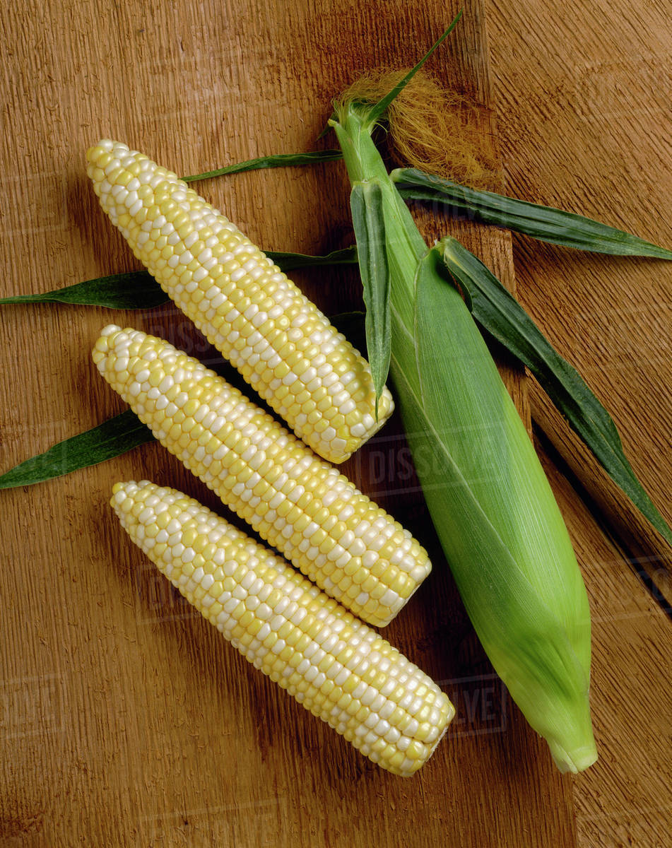 Agriculture - Ears of sweet bi-colored corn on rough cut wood; Sweet ...