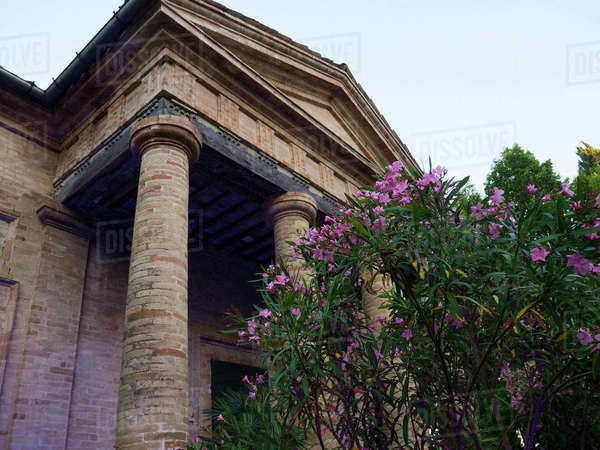 Neoclassical building with portico and flowering Oleander tree in Monte ...
