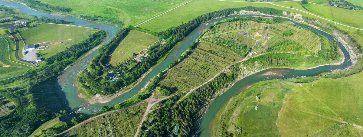 Aerial view of an oxbow river with green fields and a tree farm, East ...