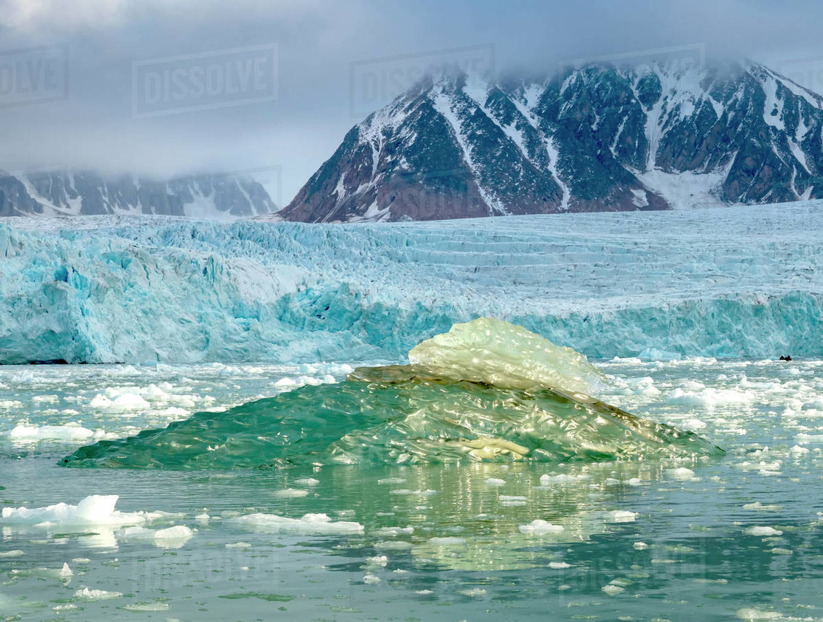 Ice from the bottom of an iceberg on the surface of the water ...