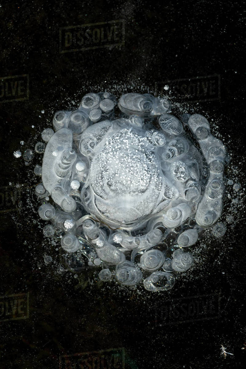 Methane gas trapped in ice creates patterns in the ice at Potter's ...