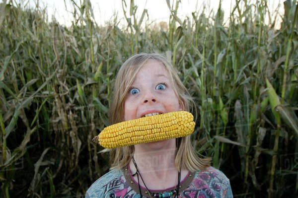 Young girl with wide blue eyes holds a cob of corn in her mouth in a ...