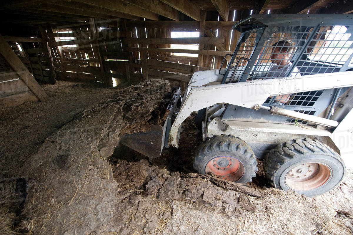 Man uses machinery to clean old manure out of a barn; Dunbar, Nebraska ...