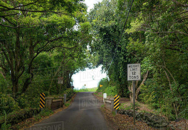 View through narrow roadway crossing a small bridge through the forest ...