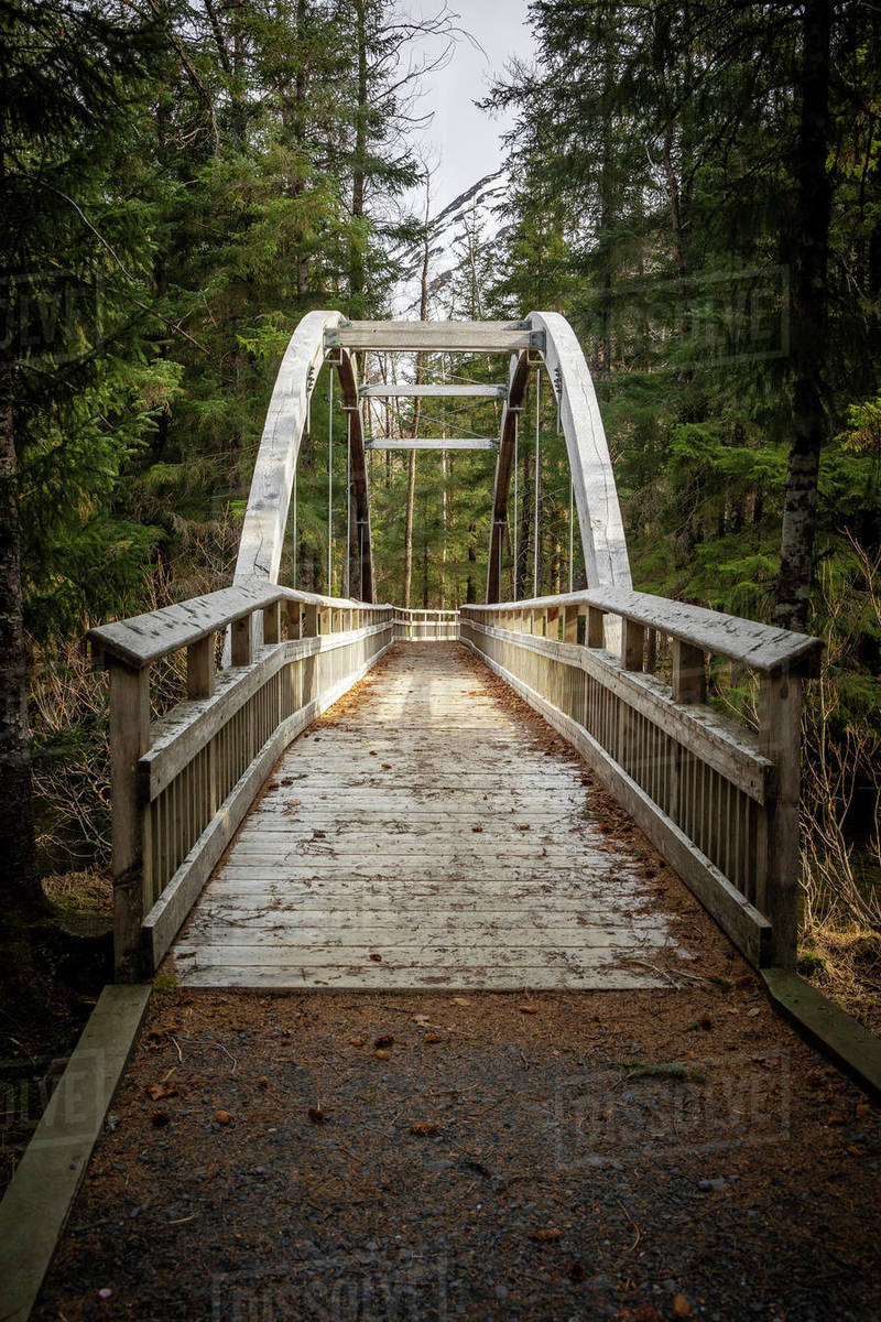 A wooden bridge and boardwalk pathway through the Trail of Blue Ice in ...