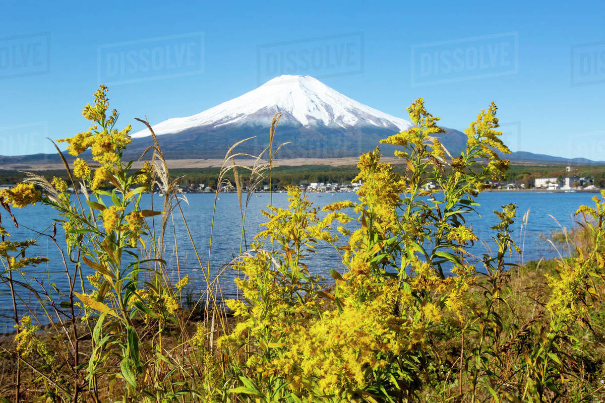 Mount Fuji, as viewed from Lake Yamanakako (Lake Yamanaka), which is ...