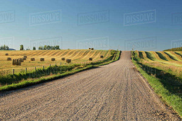 A gravel road between farm fields - Royalty-free Stock Photo | Dissolve