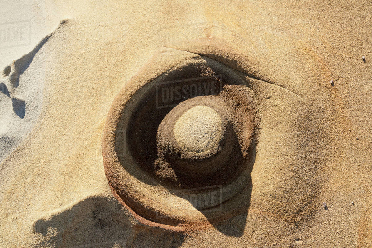 Sandstone nodule showing evidence of erosion, Headland Cove, Point ...