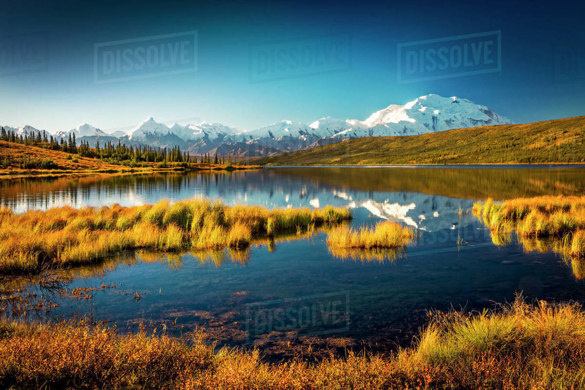 Mount Denali (McKinley) reflecting on the calm water of Wonder Lake ...