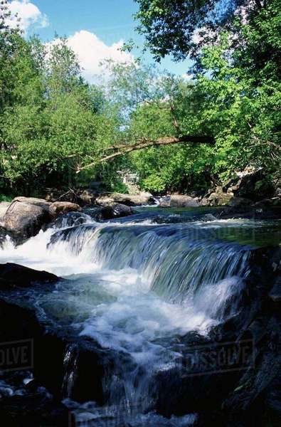 Woodland Waterfall - Stock Photo - Dissolve