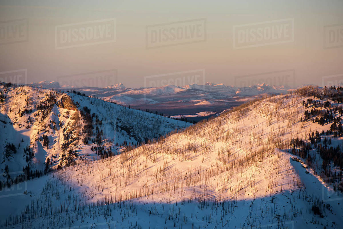 Warm light at sunset casting a pink hue over the snow covered Big Game ...