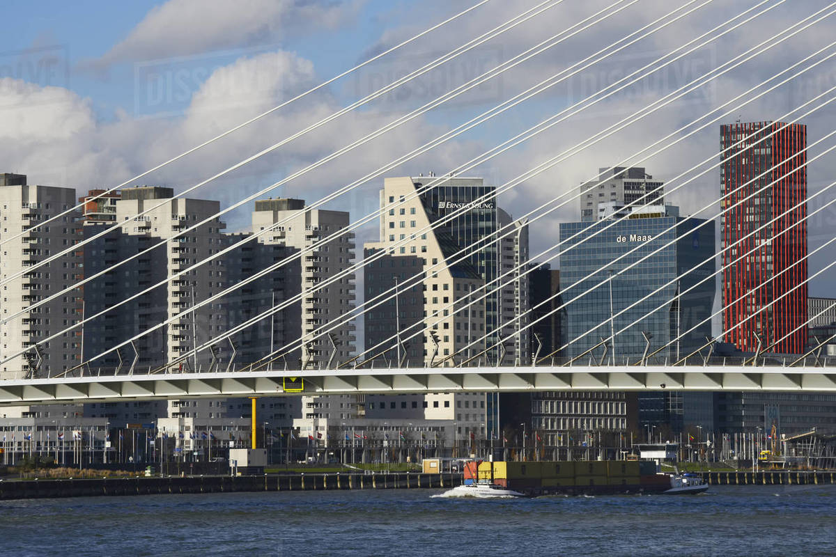 Rotterdam waterfront and river seen through the cables of the Erasmus ...