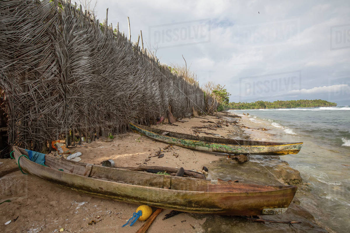 Two beached canoes and a wall of woven sago palms (Cycas revoluta ...